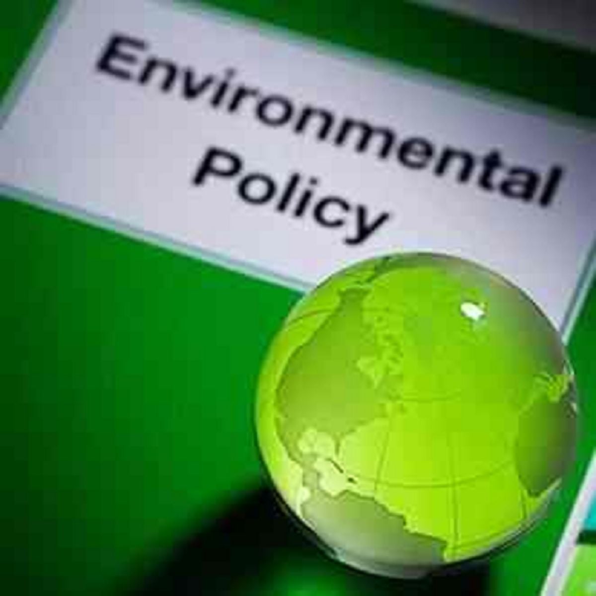 Hilite Dallas Environmental Policy Assessment | Take the Quiz | QuizMaker
