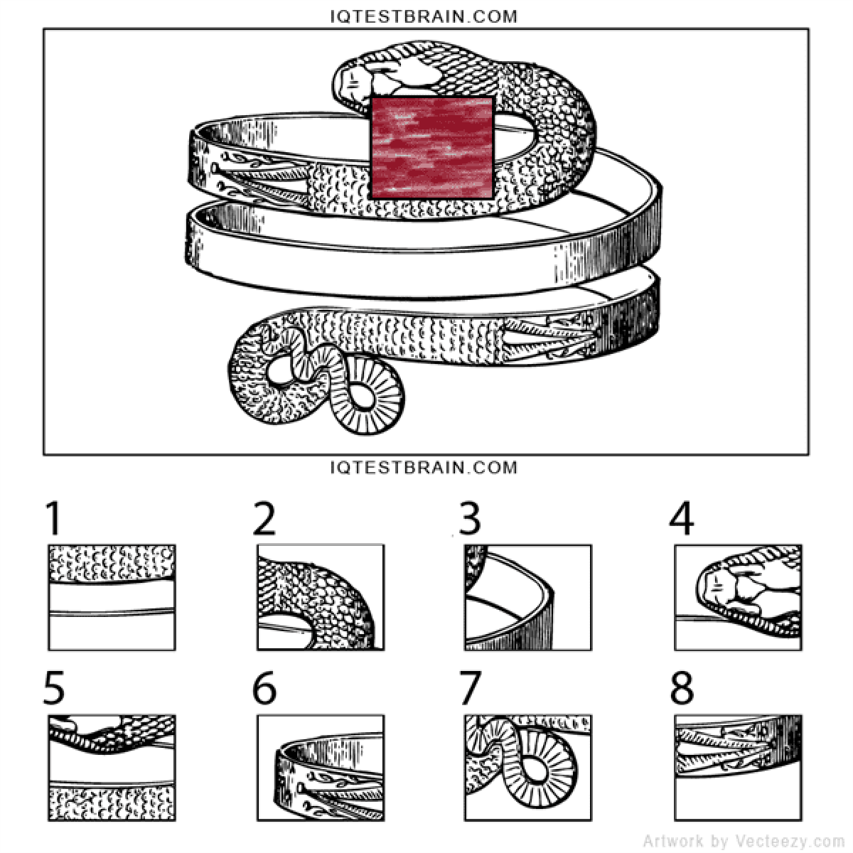 Picture Completion: 10-item (Form A) Instructions | IQTestBrain.com ...