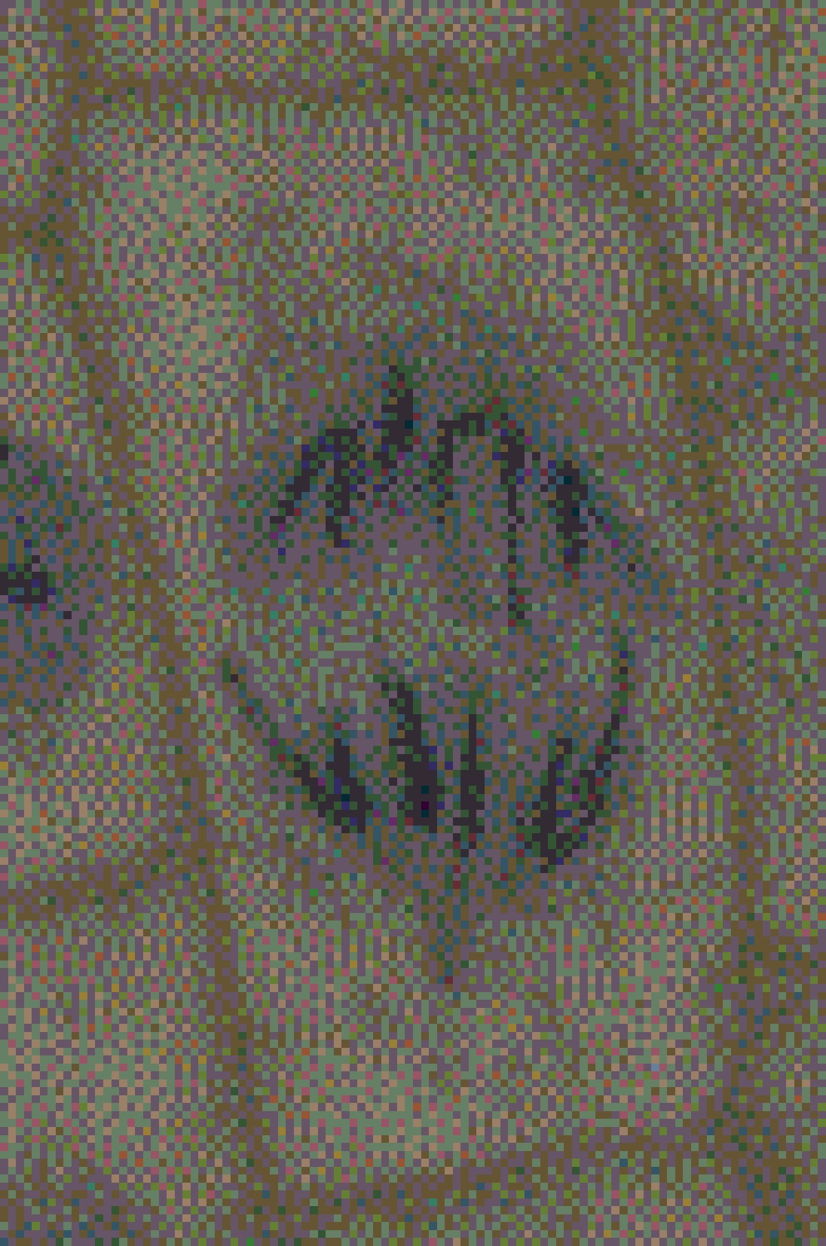 Mitosis | Take the Quiz | QuizMaker