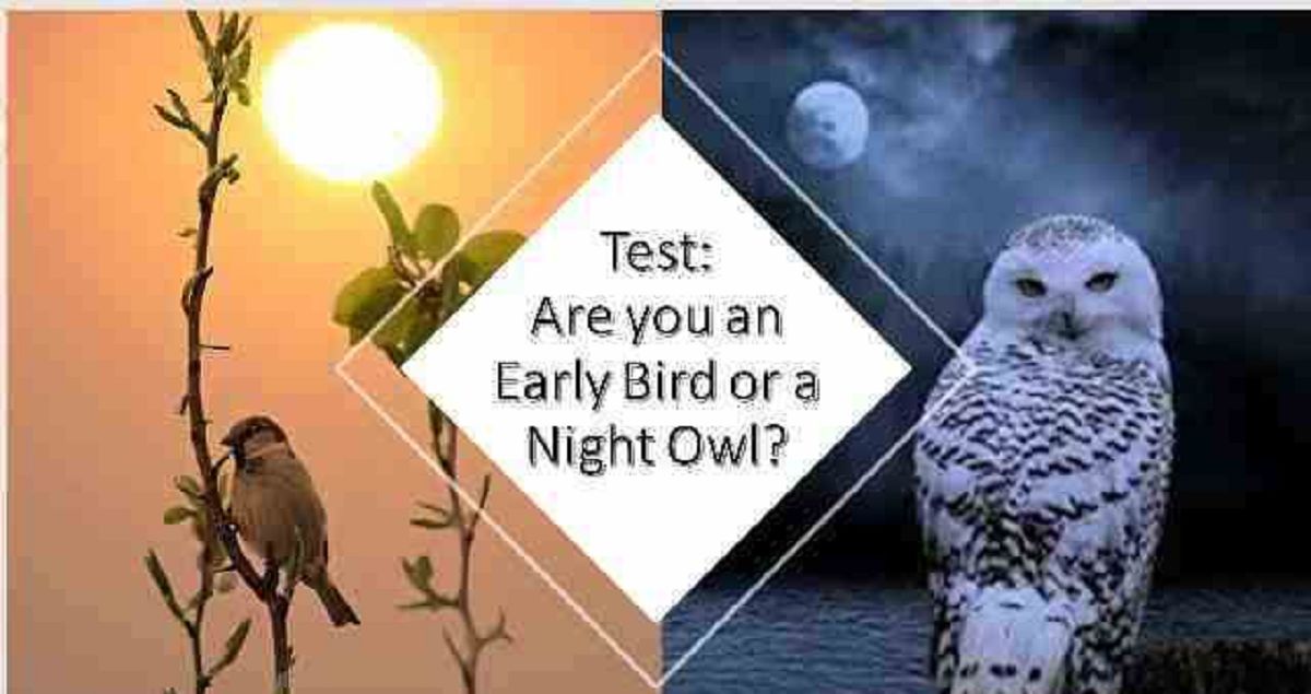 Are you an early bird or a night owl? | Take the Quiz | QuizMaker