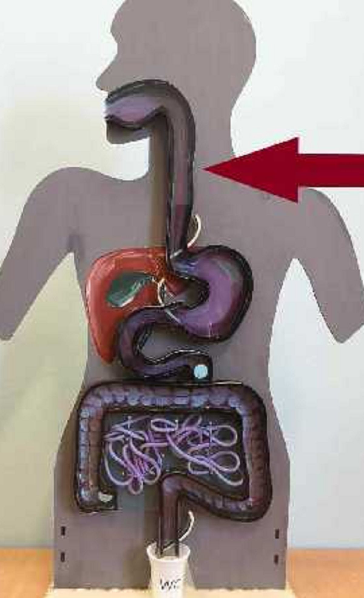 PREBAVA | Take the Quiz | QuizMaker